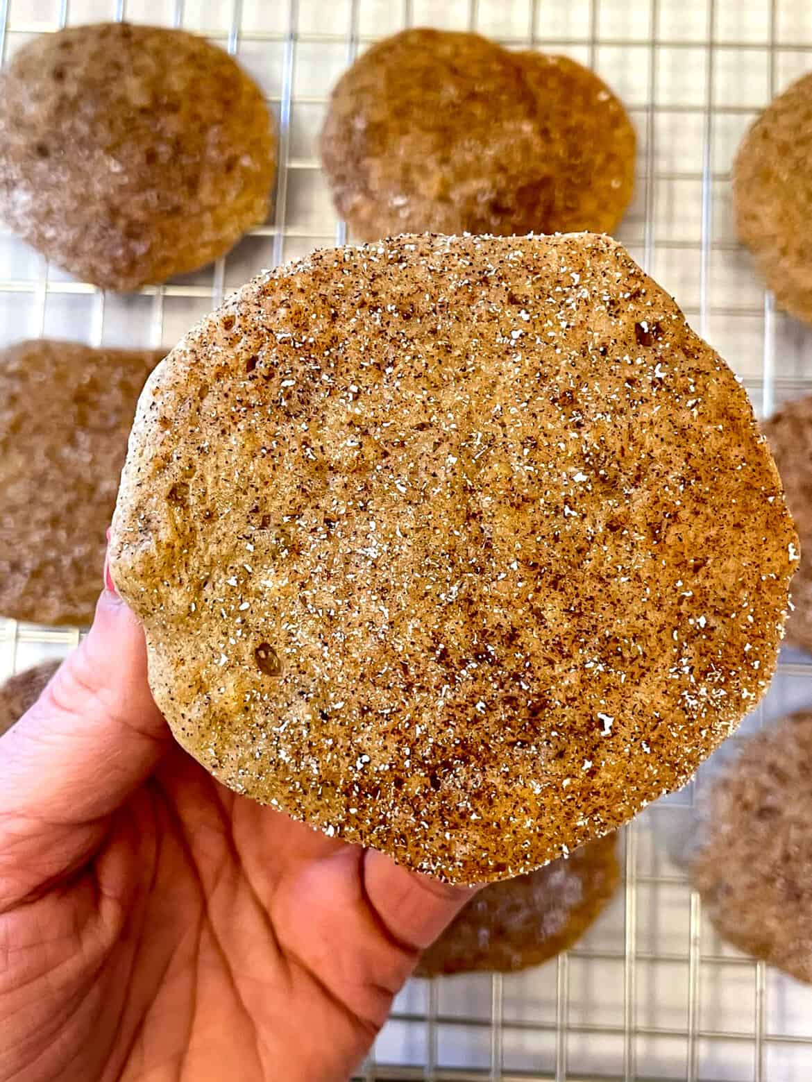 Easy Healthy Snickerdoodle Protein Cookies (Just 30 Calories) | Lauren ...