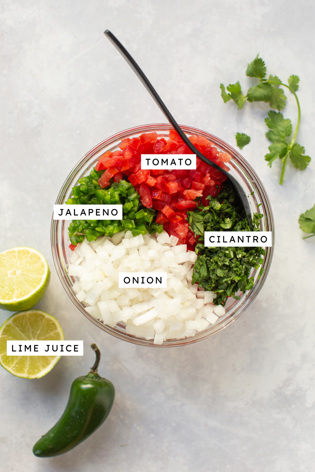 Easy Pico De Gallo | Lauren Fit Foodie