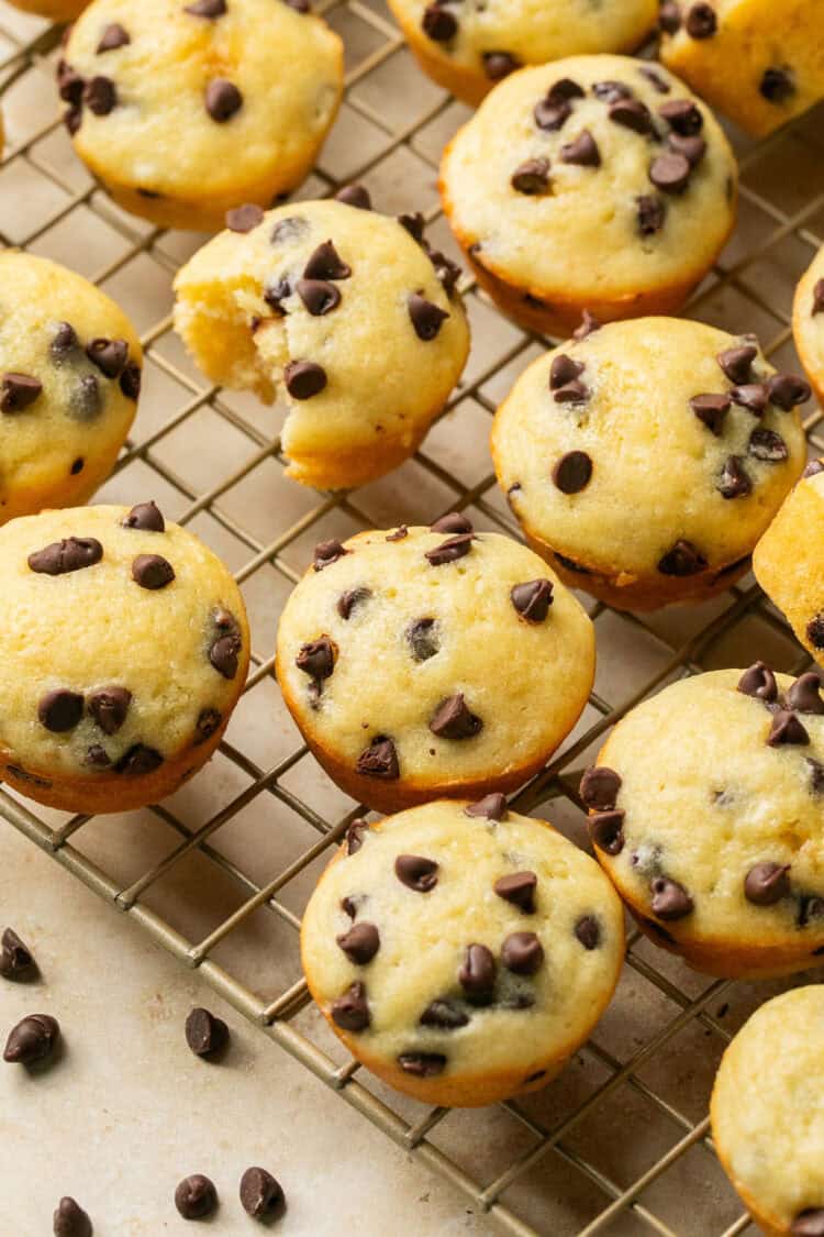 Chocolate Chip Mini Muffins (Little Bites Copycat) | Lauren Fit Foodie