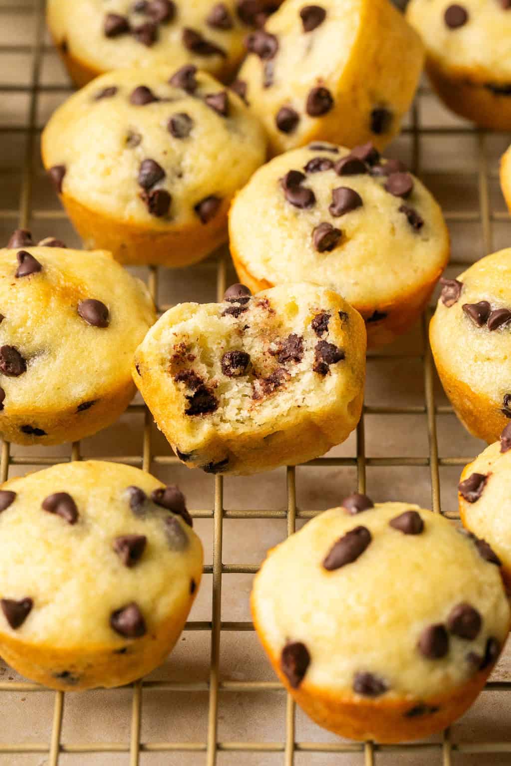 Chocolate Chip Mini Muffins (Little Bites Copycat) | Lauren Fit Foodie