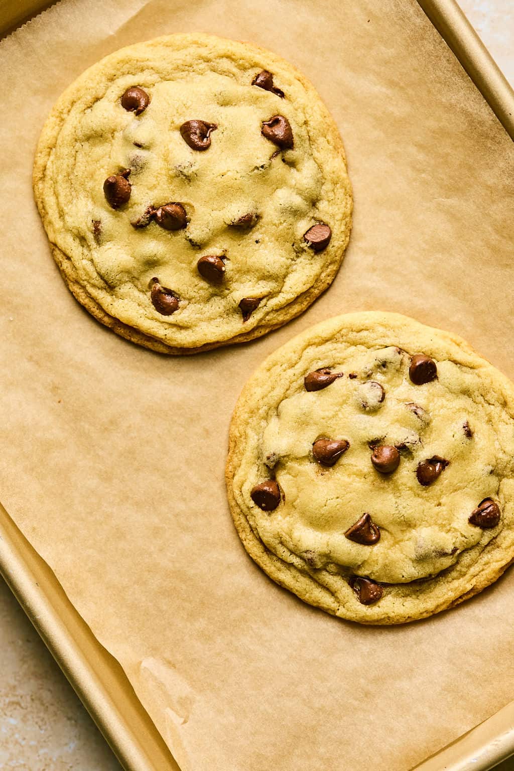 Two Huge Chocolate Chip Cookies (Ready in 15 minutes!) | Lauren Fit Foodie