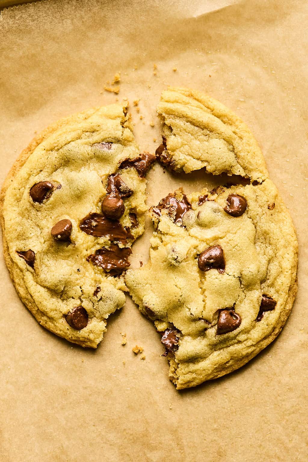 Two Huge Chocolate Chip Cookies (Ready in 15 minutes!) | Lauren Fit Foodie