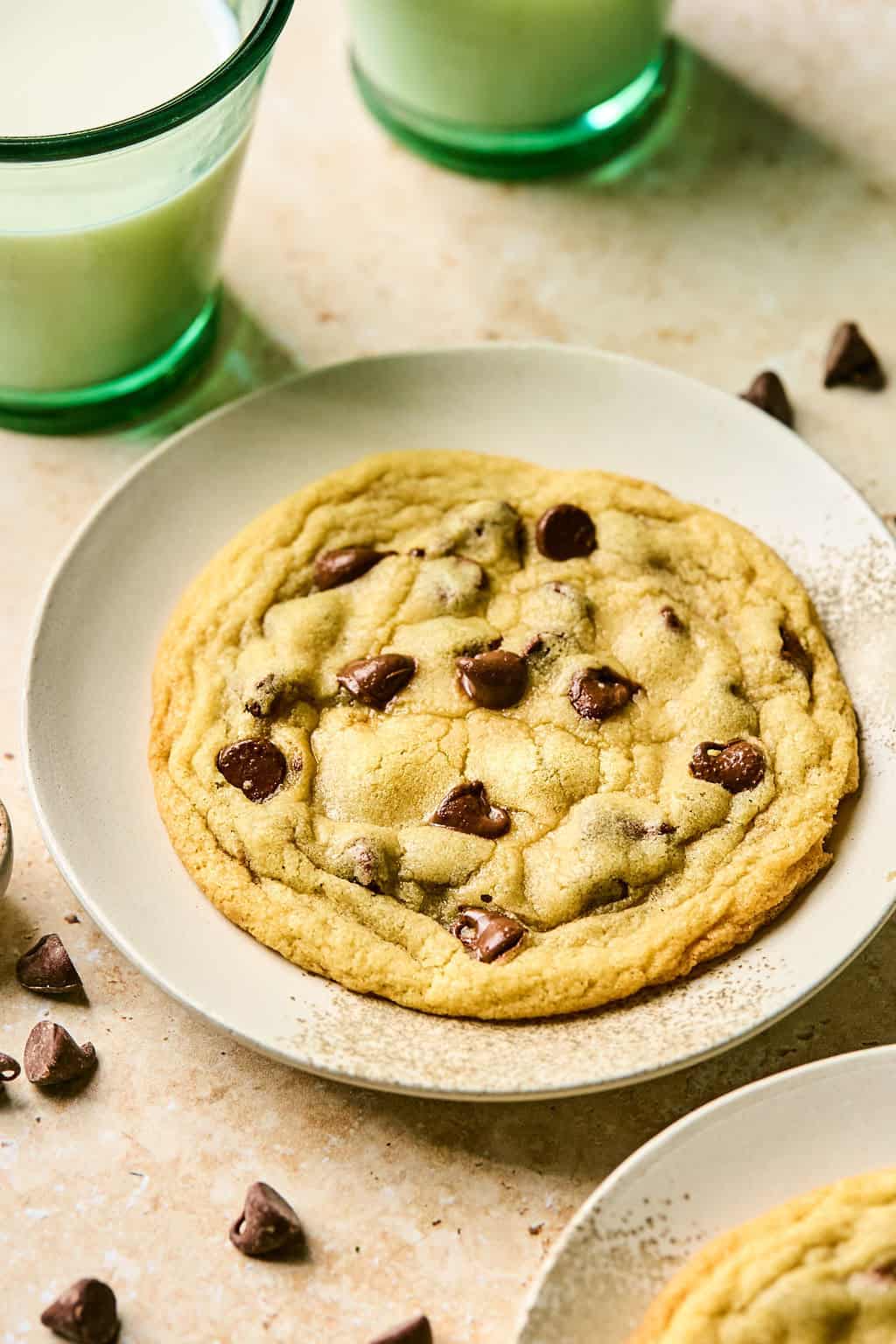Two Huge Chocolate Chip Cookies (Ready in 15 minutes!) | Lauren Fit Foodie